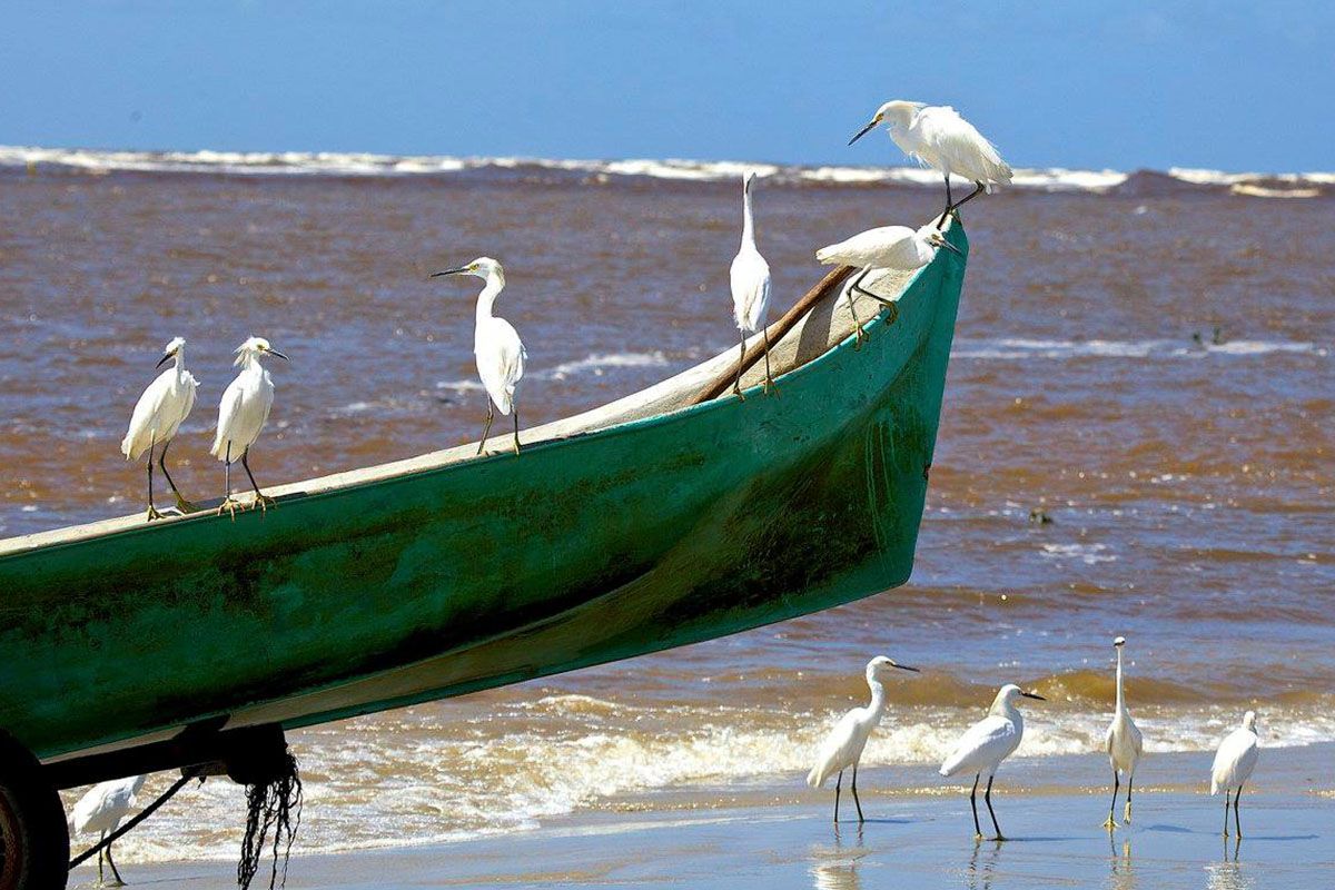 Ilha Comprida o Guia completo: um Tour pela bela praia de Ilha Comprida ...